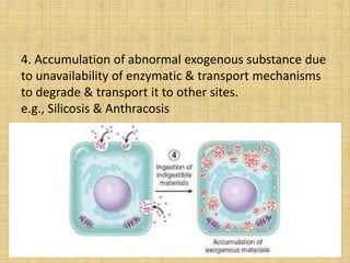 Intracellular accumulations ppt by dr usman nasir | PPTX