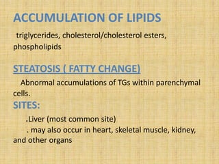 Intracellular accumulations ppt by dr usman nasir | PPTX