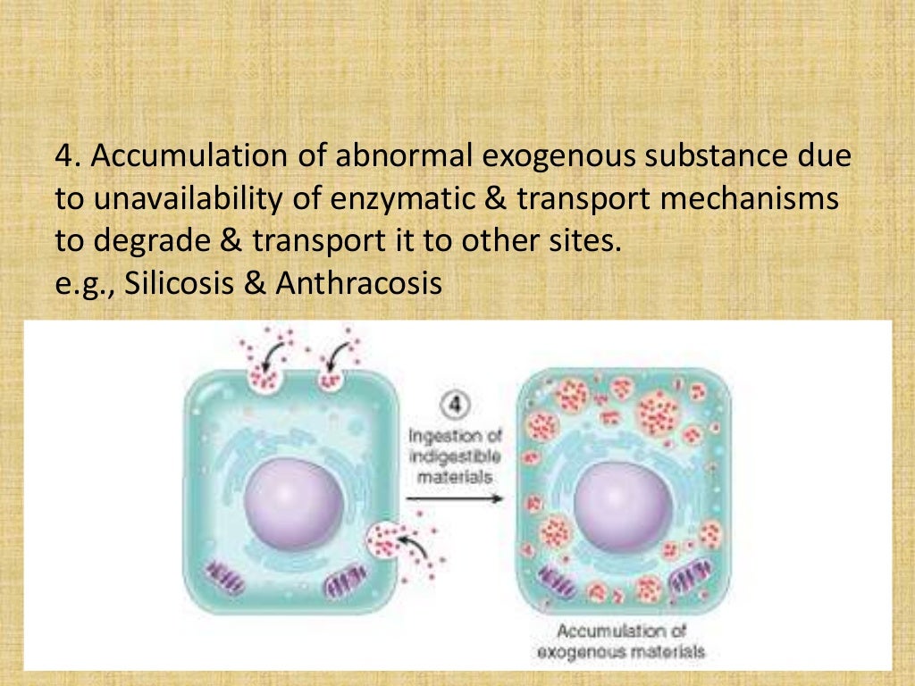 Intracellular accumulations ppt by dr usman nasir