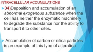 Intracellular accumulations | PPTX