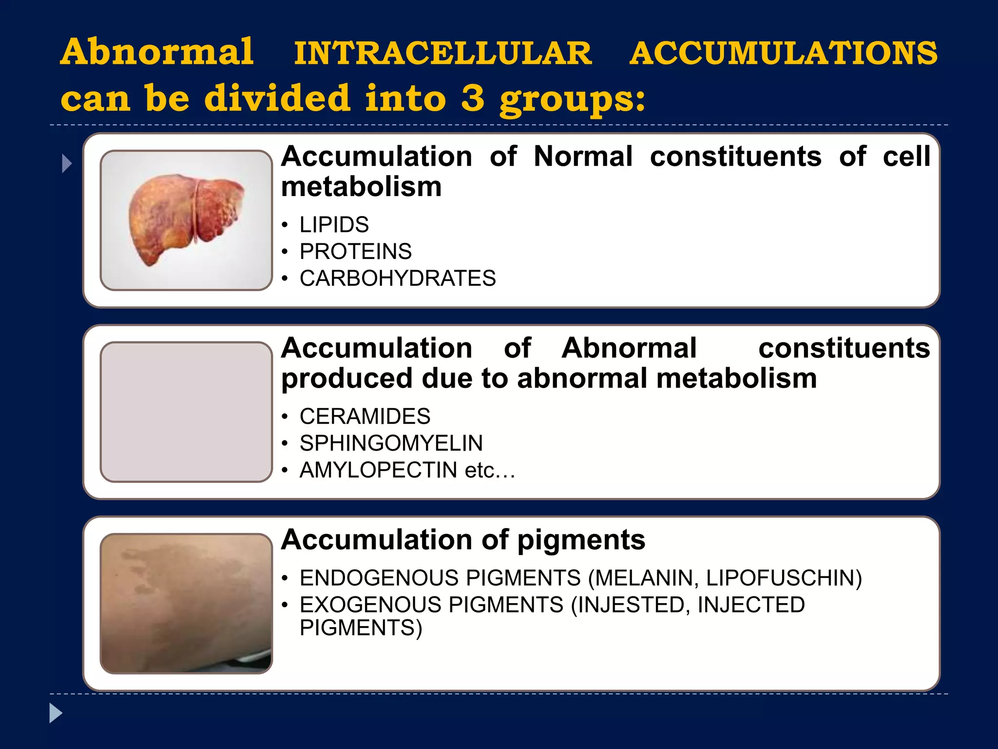 Intracellular accumulations | PPTX