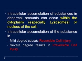 Intracellular accumulations | PPTX