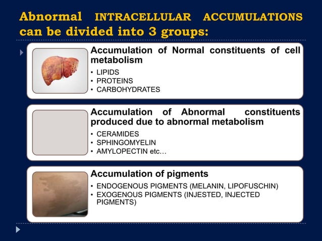 Intracellular accumulations | PPTX