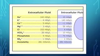 Intracellular and extracellular electrolytes, buffer solution and ...