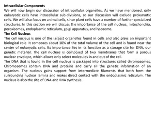 Intracellular Compartments / Intracellular fluid | PPT