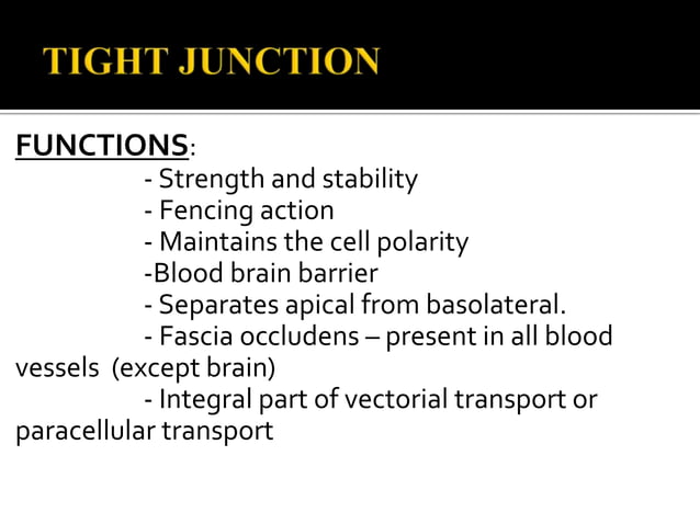 Intracellular junction ppt | PPTX | Genetics | Science