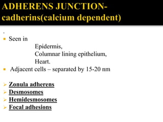 Intracellular junction ppt | PPTX