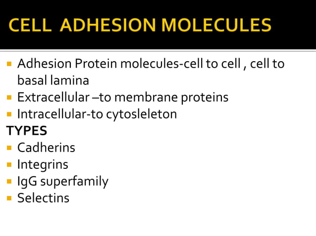 Intracellular junction ppt | PPTX | Genetics | Science