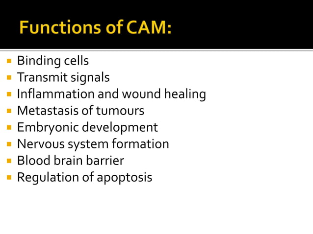 Intracellular junction ppt | PPTX | Genetics | Science