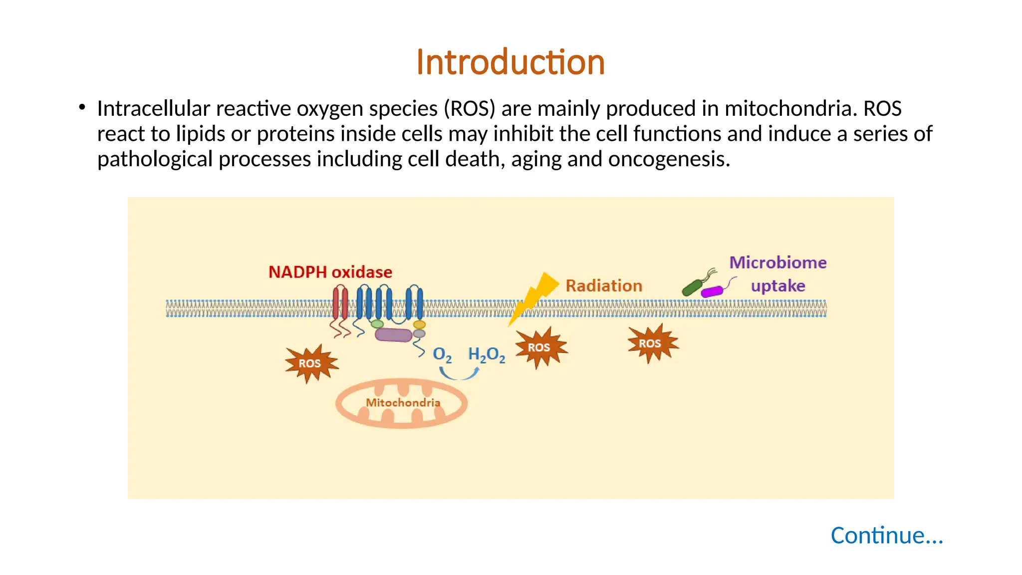Intracellular Reactive Oxygen Species (ROS) Detection Assay Kit | TCI Chemicals | PPTX ...