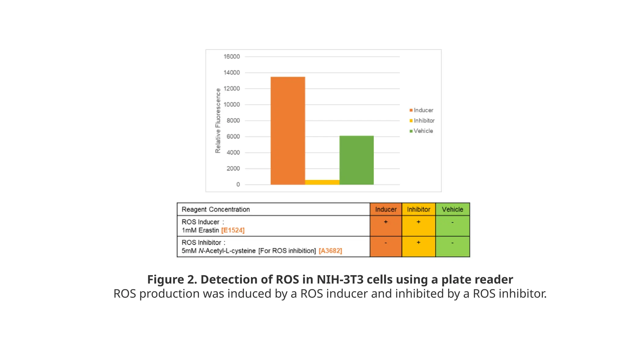 Intracellular Reactive Oxygen Species (ROS) Detection Assay Kit | TCI Chemicals | PPTX ...