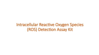 Intracellular Reactive Oxygen Species (ROS) Detection Assay Kit | TCI ...