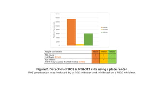 Intracellular Reactive Oxygen Species (ROS) Detection Assay Kit | TCI ...
