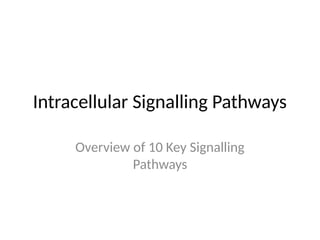 Intracellular_Signalling_Pathways. .pptx