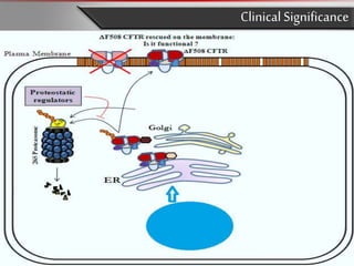 Intracellular Traffic and Sorting of Proteins | PPTX