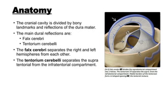 INTRACRANIAL HERNIATIONS -various types and anatomy.pptx