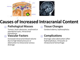 Intracranial Hypertension In Children-2025.pdf