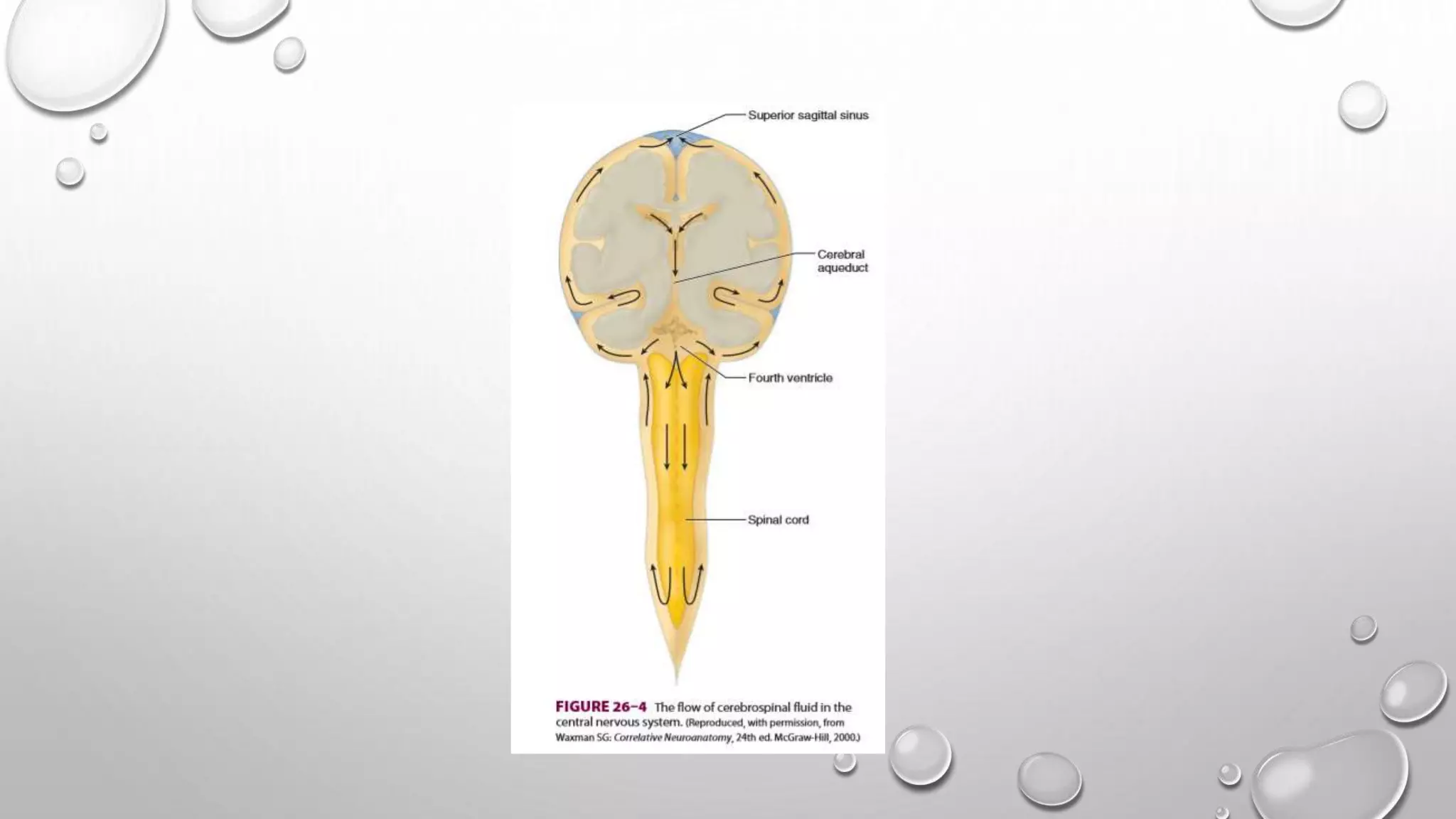 Intra cranial pressure | PPTX