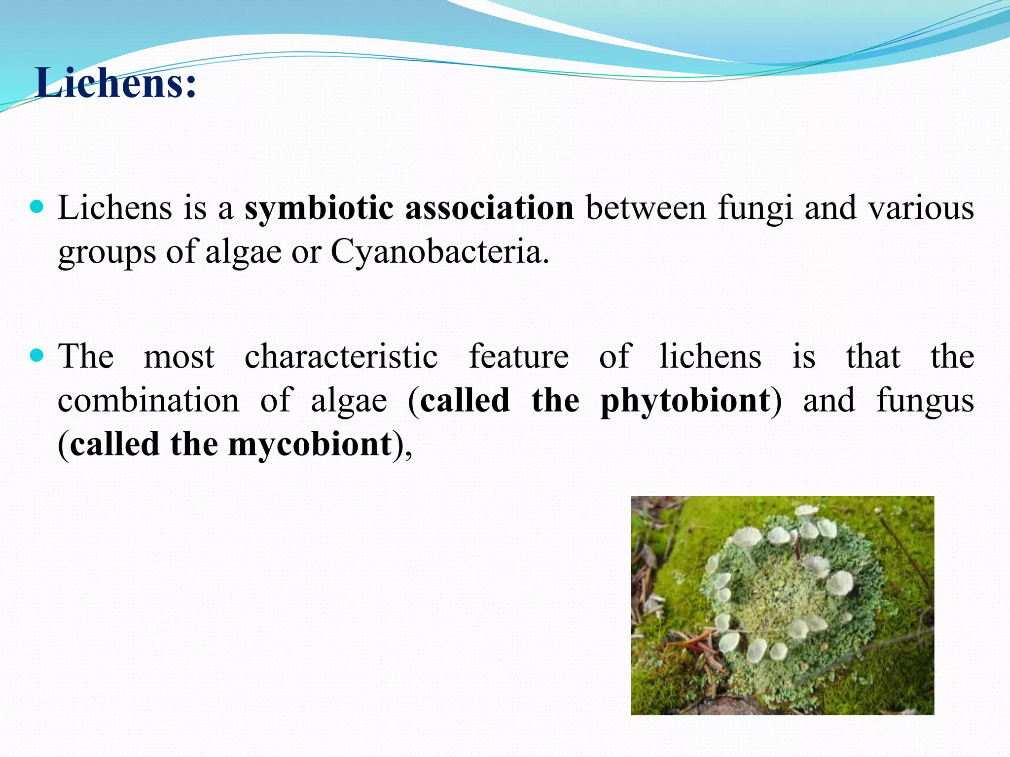 Interactions of fungi | PPTX