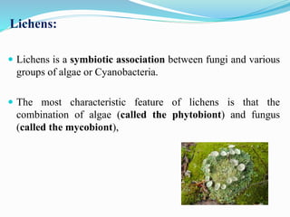 Interactions of fungi | PPTX