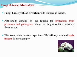 Interactions of fungi | PPTX