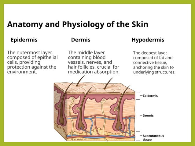 Intradermal-Route-of-Medication-A-Comprehensive-Overview.pptx