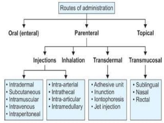 Intradermal & Subcutaneous Injection.pptx
