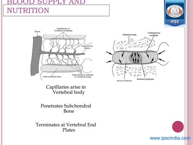 Intradiscal procedures current evidence | PPT