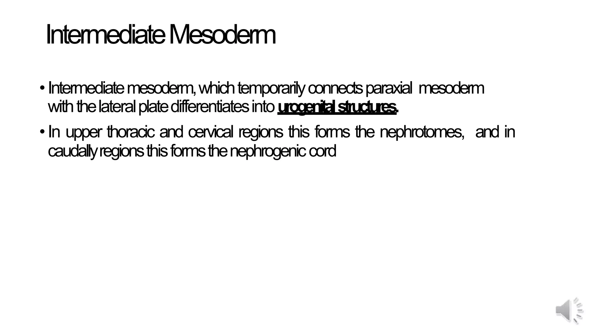 Intraembryonic mesoderm | PPTX