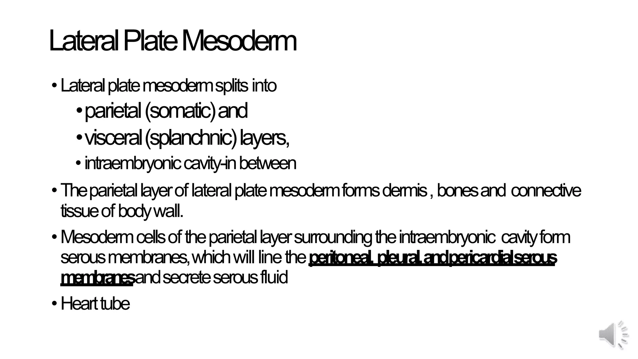 Intraembryonic mesoderm | PPTX