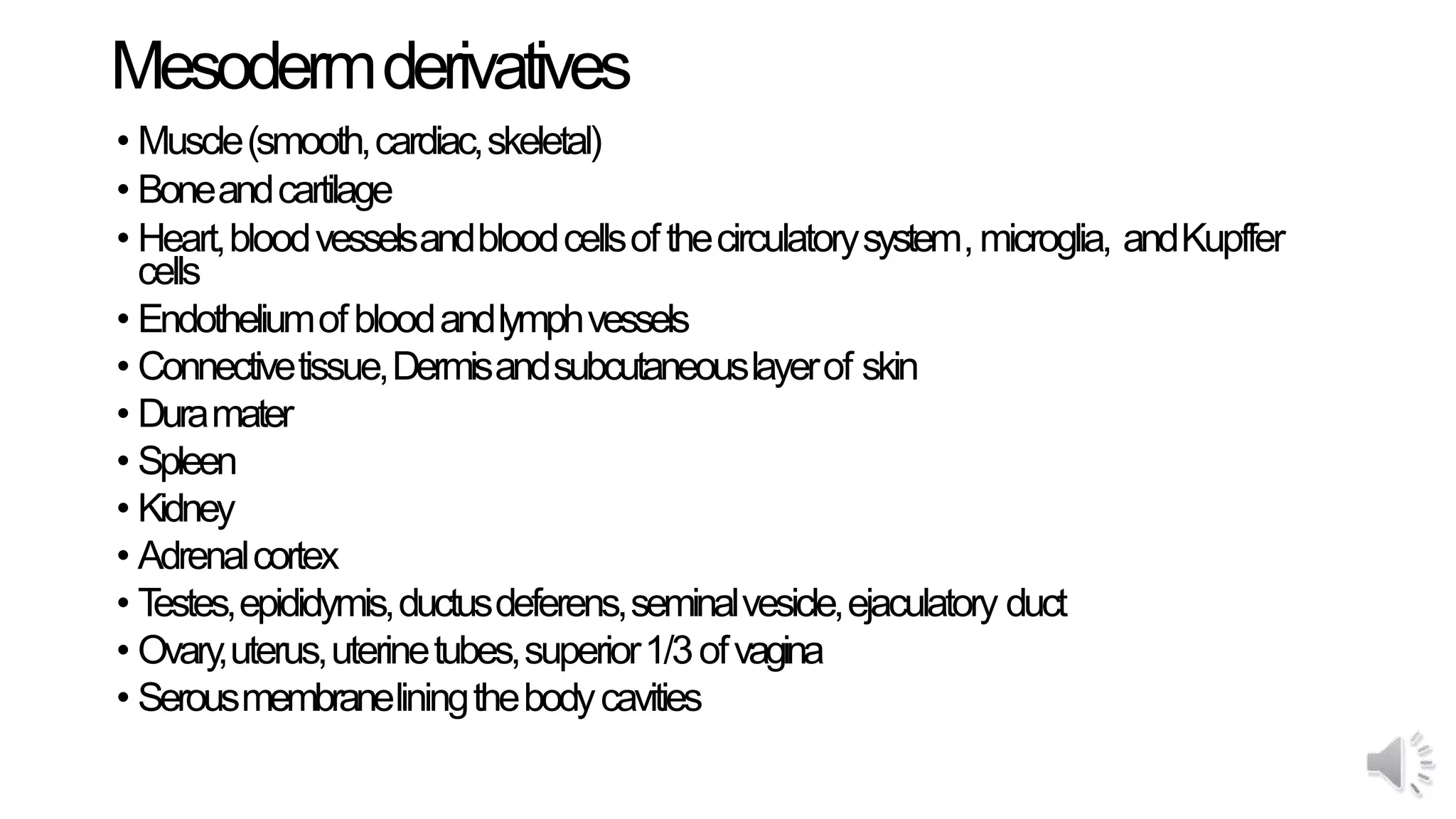 Intraembryonic mesoderm | PPTX