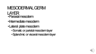 Intraembryonic mesoderm | PPTX
