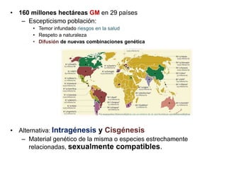 Intragénesis y cisgénesis | PPTX
