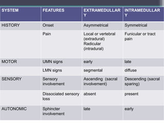 Intramedullary vs extramedullary spinal cord lesions