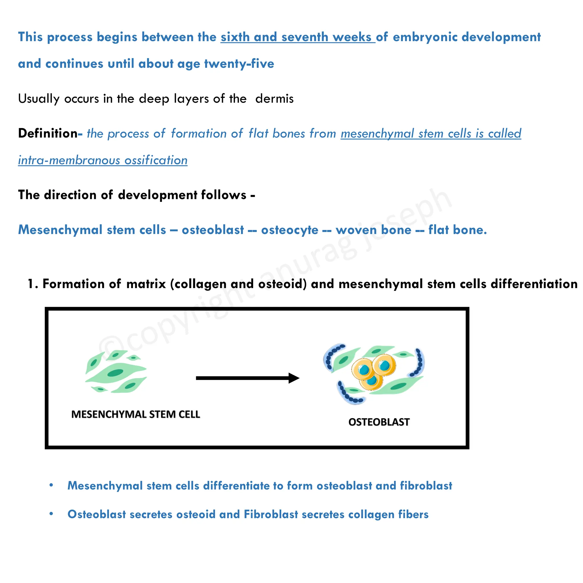 INTRAMEMBRANOUS OSSIFICATION || Bone formation || Ossification | PDF