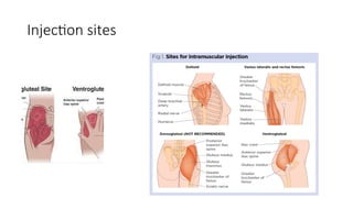 DRUG ADMINISTRATION, INTRAMUSCULAR INJECTION | PPTX