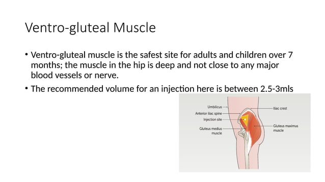 DRUG ADMINISTRATION, INTRAMUSCULAR INJECTION | PPTX