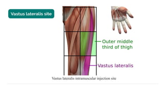 OSCE Guide for MBBS Phase II Students: Practical Skills in Pharmacology ...