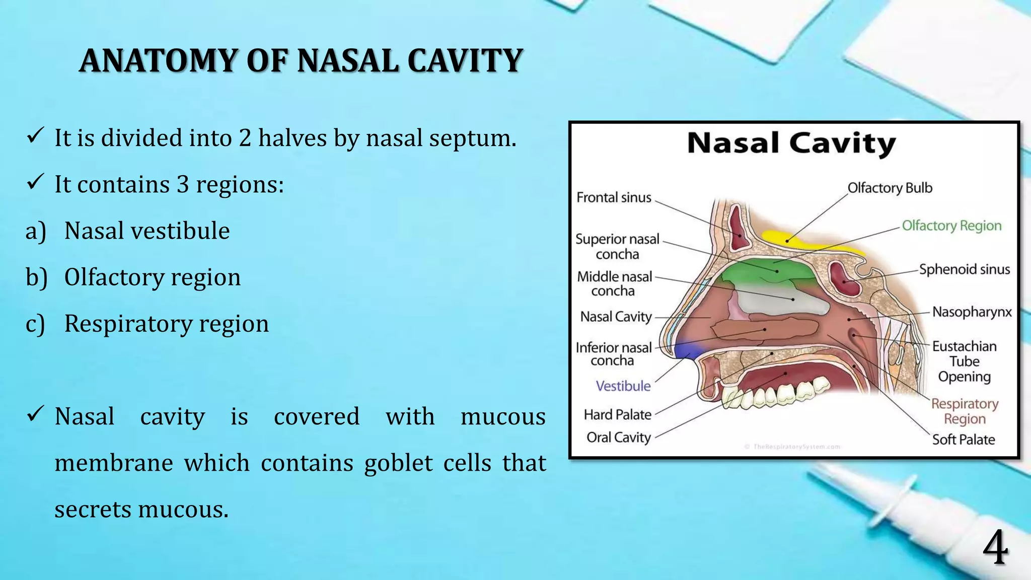 INTRANASAL ROUTE DELIVERY SYSTEM | PPTX