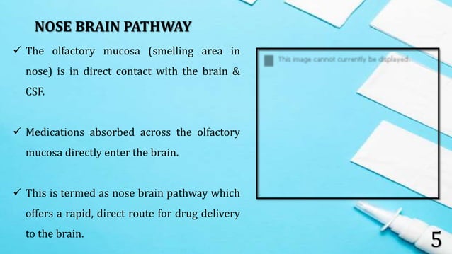 INTRANASAL ROUTE DELIVERY SYSTEM | PPTX