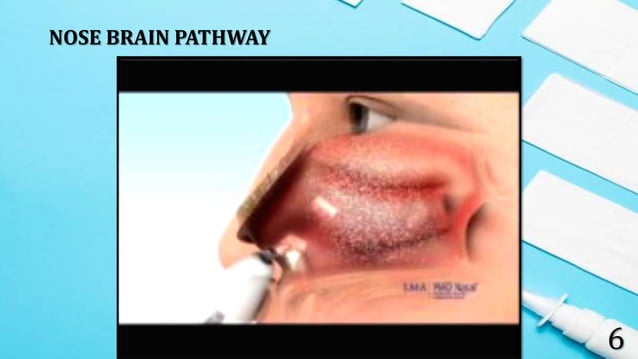 INTRANASAL ROUTE DELIVERY SYSTEM | PPTX