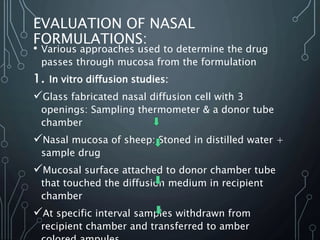 Intra Nasal Route Delivery System.pptx