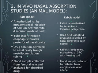 Intra Nasal Route Delivery System.pptx