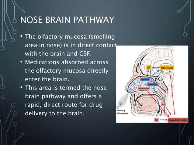 Intra Nasal Route Delivery System.pptx