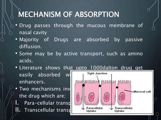 Intra Nasal Route Delivery System.pptx