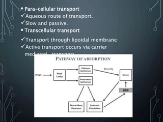 Intra Nasal Route Delivery System.pptx