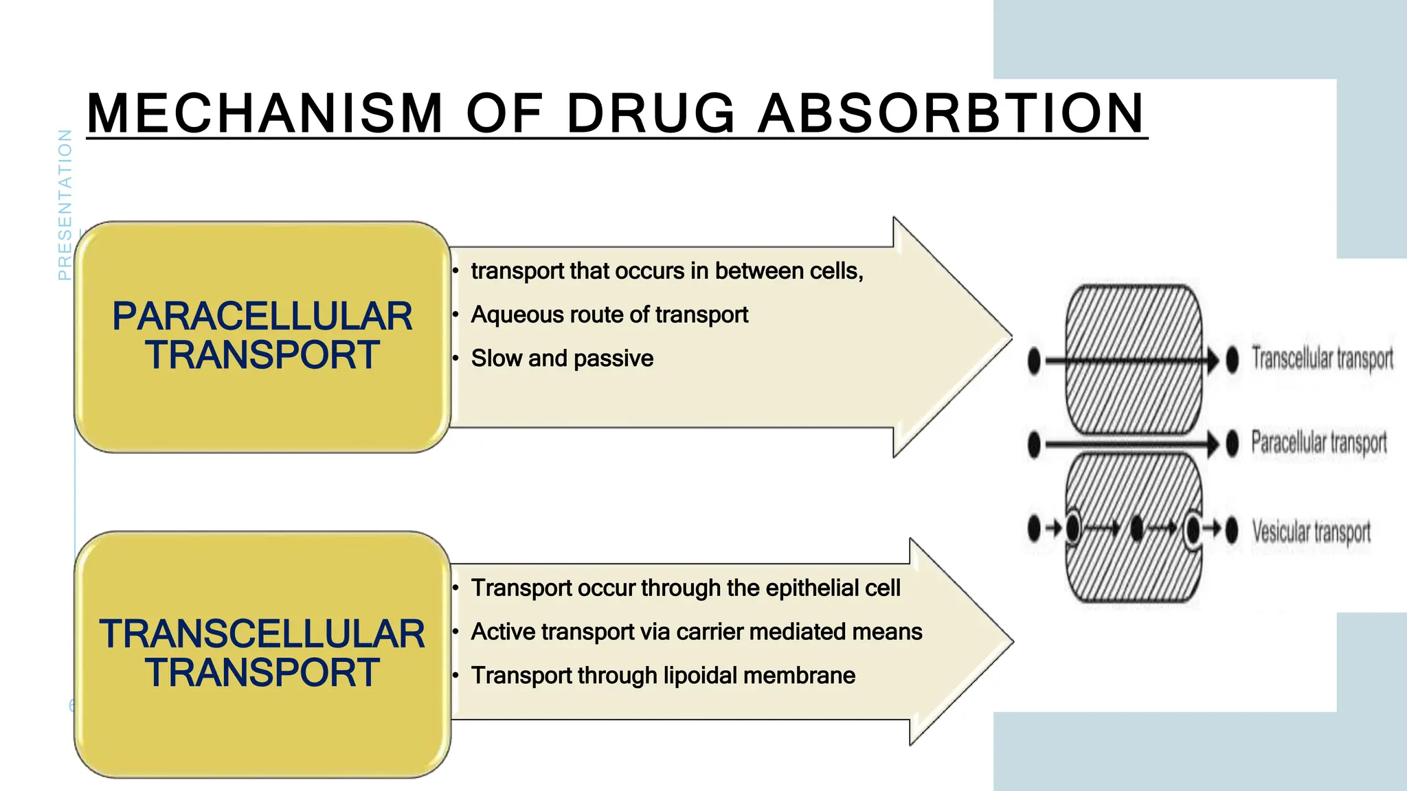 Intranasal route delivery system M PHARM .pptx