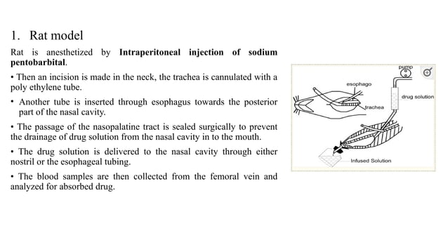 INTRA-NASAL ROUTE OF DELIVERY SYSTEM.pptx