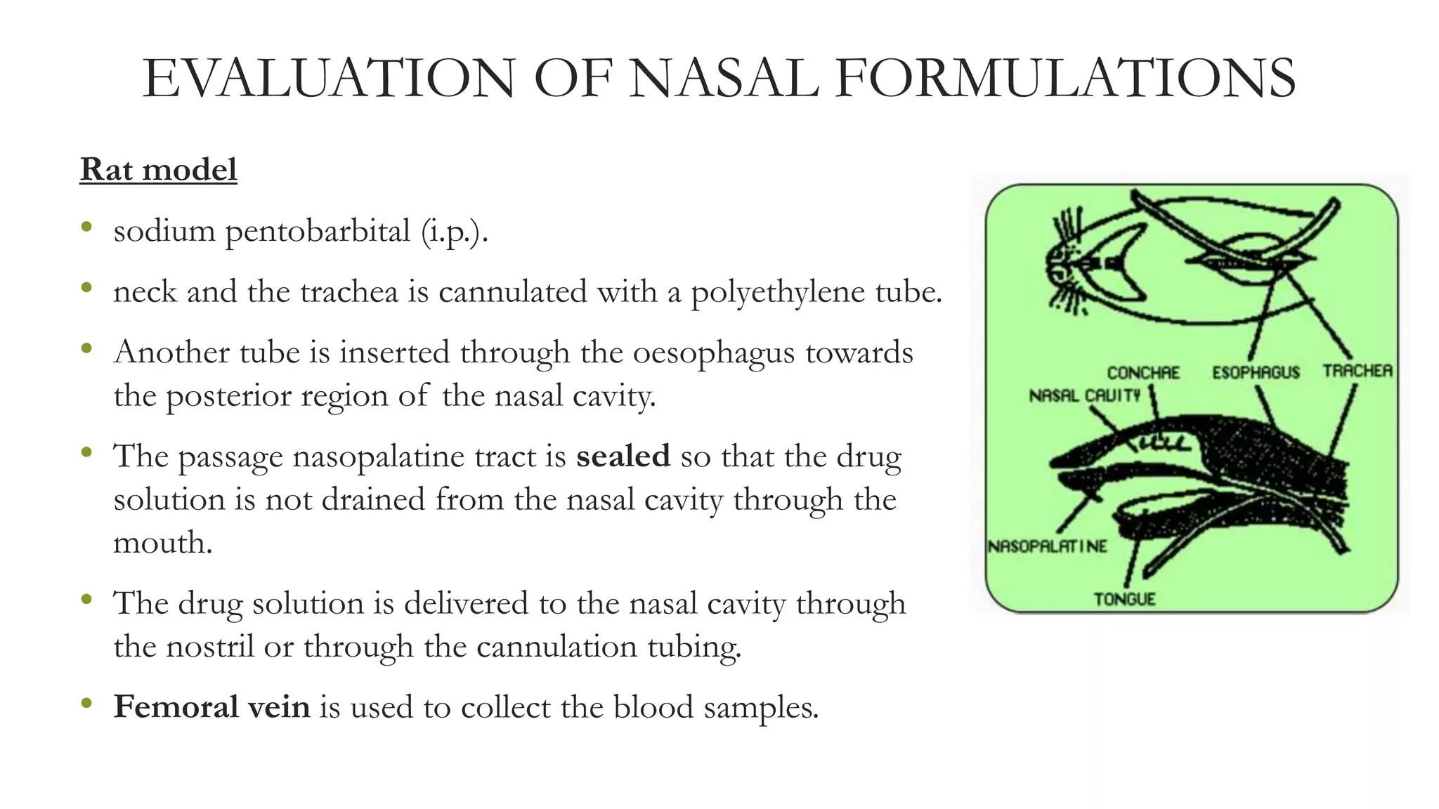 Intranasal route of drug administration | PPTX