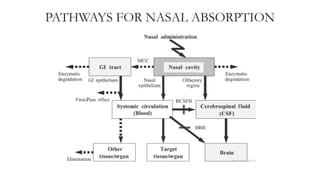 Intranasal route of drug administration | PPTX